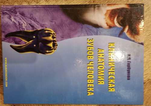 Клиническая анатомия зубов человека. И. Л. Горбуно