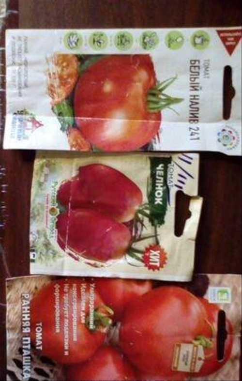 Рассада томаты, помидоры