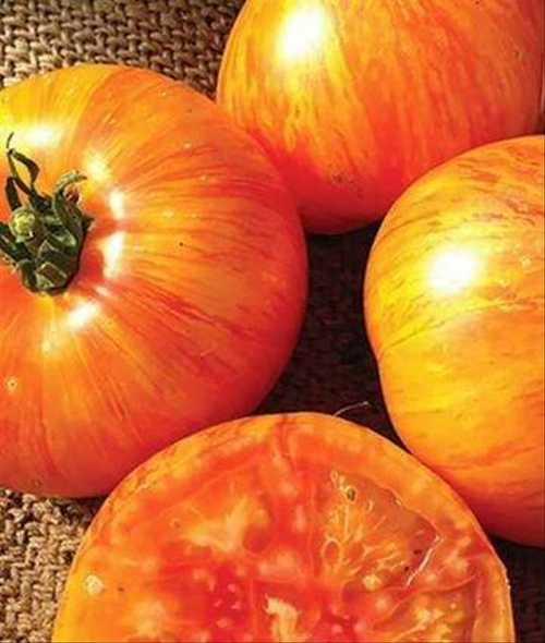 Семена томата Гном томатный-Король красоты