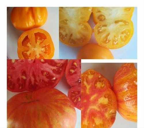 Семена сладких томатов