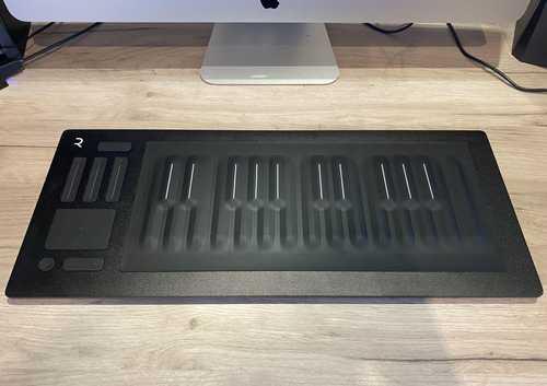 Roli Seaboard rise 25