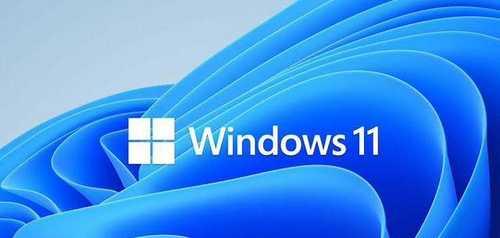 Windows 11