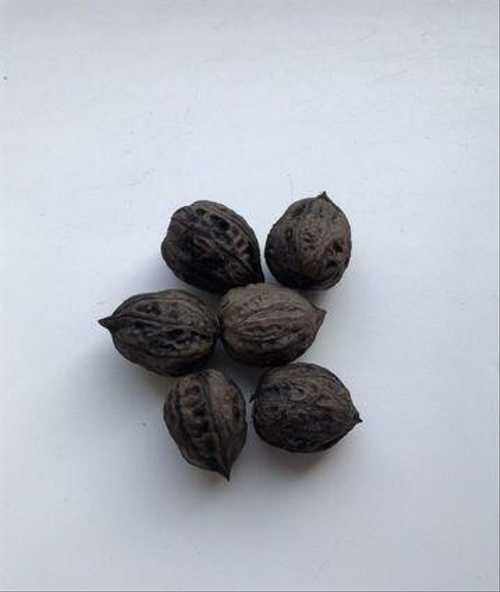 Семена маньчжурского ореха