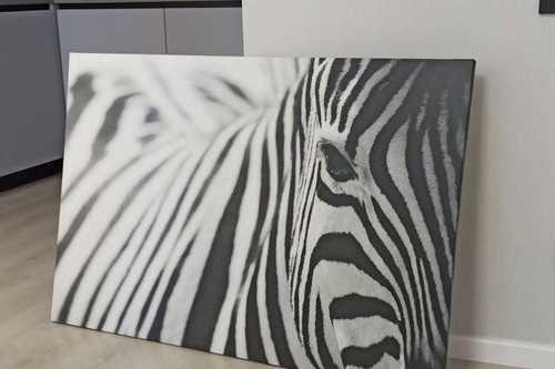 Картина зебра из IKEA