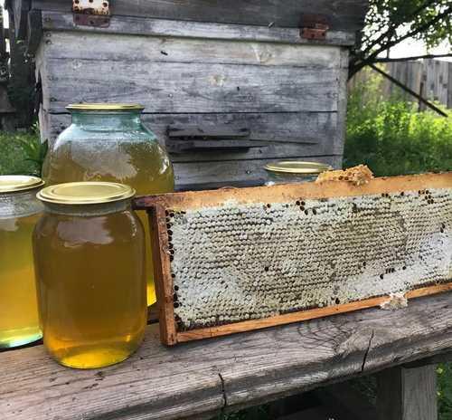 Мед с собственной пасеки