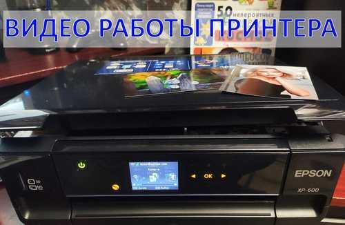 Мфу Epson Expression Premium XP-600