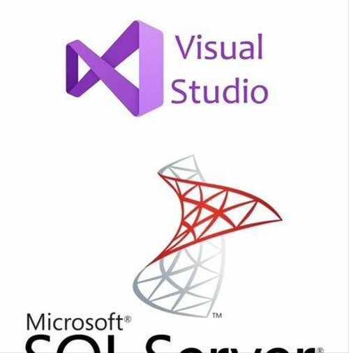 Microsoft Visual Studio / Microsoft SQL Server