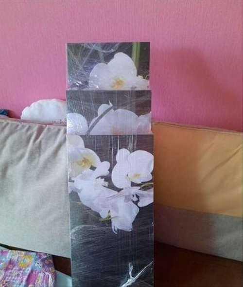 Модульная картина. Орхидеи