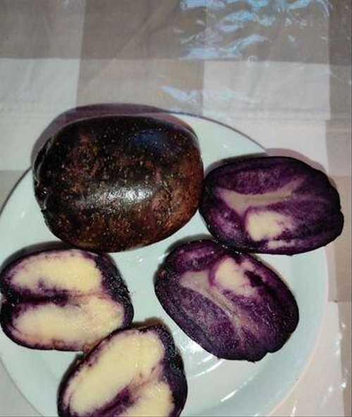 Семена картофеля фиолетового