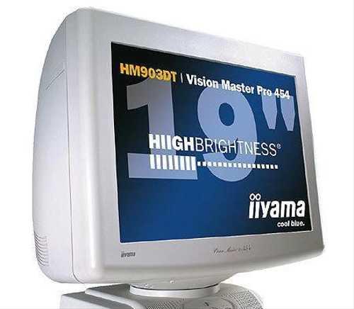 Iiyama Vision Master Pro 454 180hz