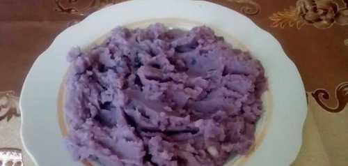 Фиолетовый семенной картофель