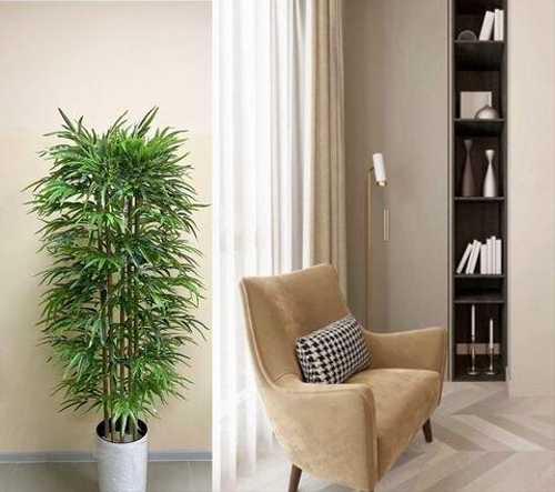 Бамбук Зеленый 140 см растение талисман на деньги