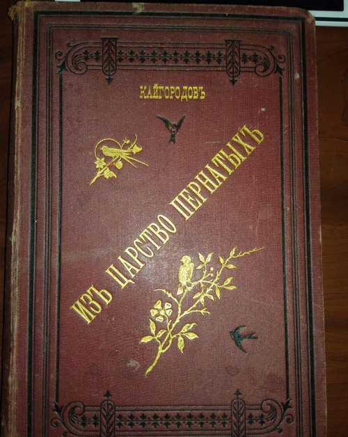 Д.Кайгородов "Из царства пернатых" 1892 год