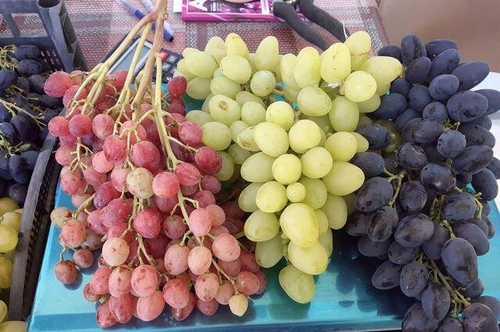 Продаю саженцы элитных сортов винограда: Дубовский