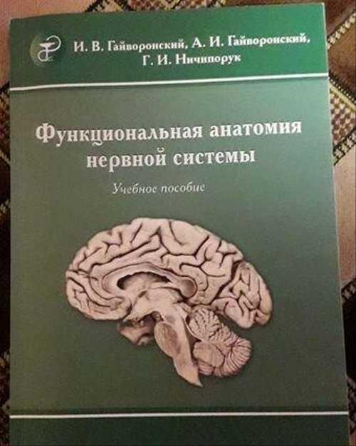 Функциональная анатомия нервной системы