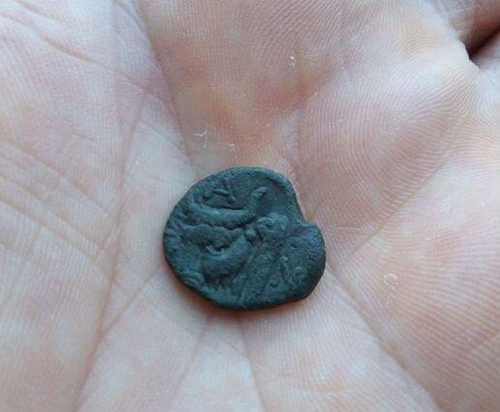 Античная монета Боспора. Бык