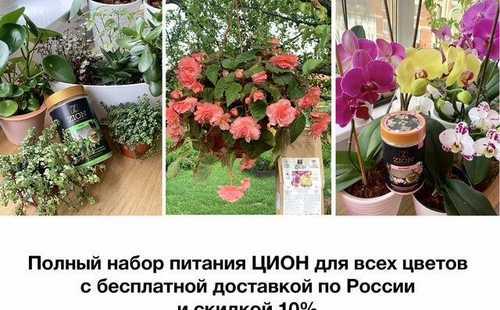 Набор цион для цветов (петуния, орхидея, фикус )