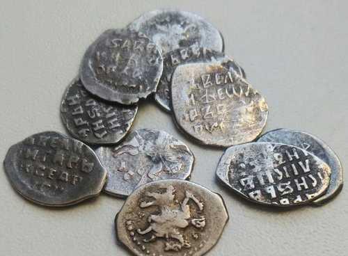 Серебряные монеты (чешуя)