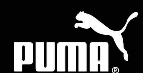 Кроссовки puma