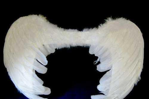 Крылья перьевые белые 63*45 см
