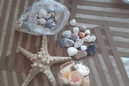 Ракушки морские и звезда