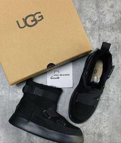 Угги Ботинки Ugg Boom Buckle Boom Black