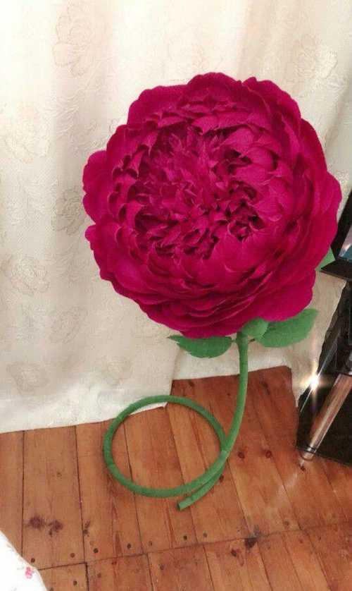 Ростовой пион (интерьерные цветы)