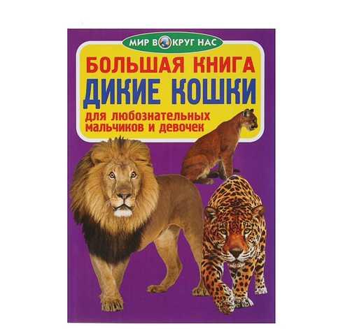 Большая красочная книга «Дикие кошки»