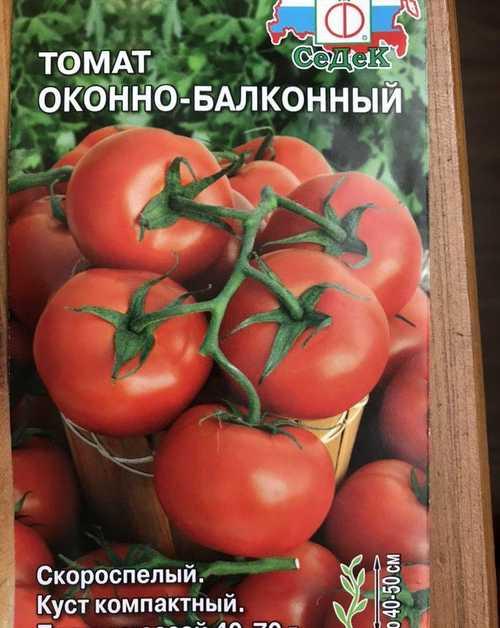 Рассада томата оконно-балконный