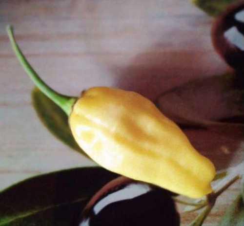 Семена перца Habanero White(Белый Хабанеро)