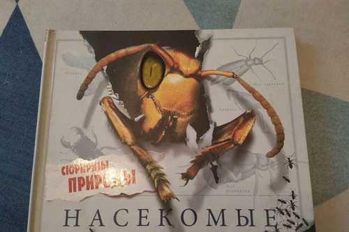 Интерактивная книжка про насекомых