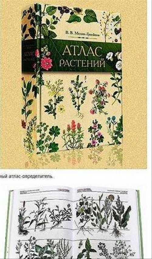 Атлас растений