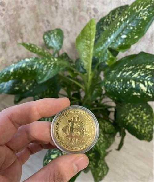 Bitcoin сувенир монетка