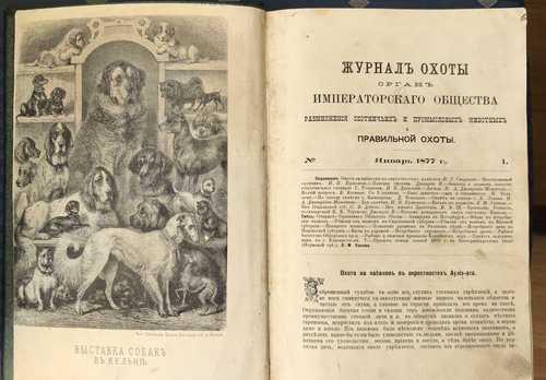 Сабанеев Л.П. «Журнал охоты». 1877 год