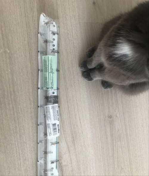Рельсовые направляющие