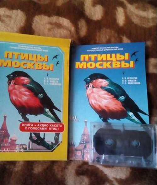 Птицы Москвы