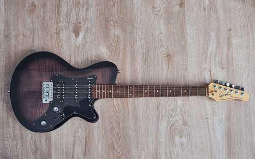 Godin SD 22