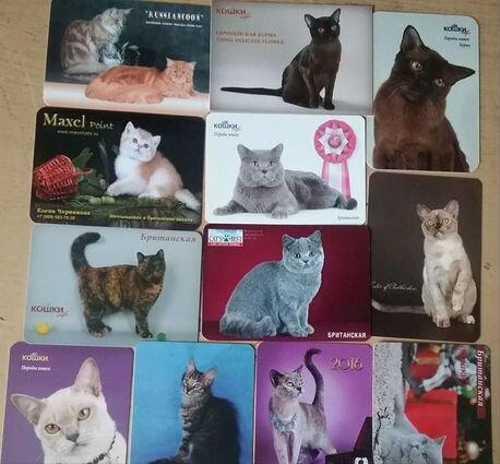 Календарики кошки, картинки,вырезки