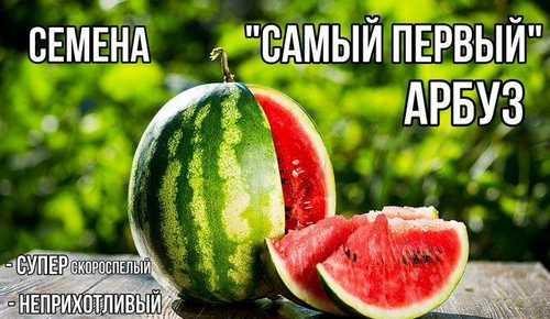 Семена арбуза "Самый первый"/ Холодостойкий