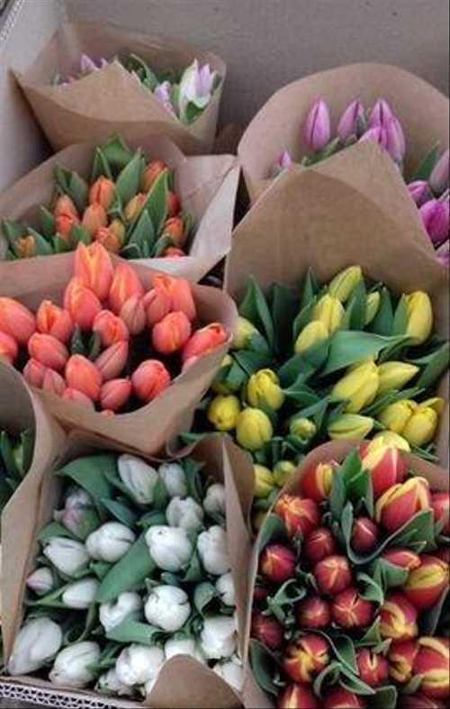 Тюльпаны оптом купить Бишкек.