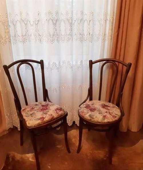 Пара старинных венских стульев