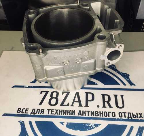 Цилиндр rotax V 1000 BRP Ski Doo Lynx Оригинал