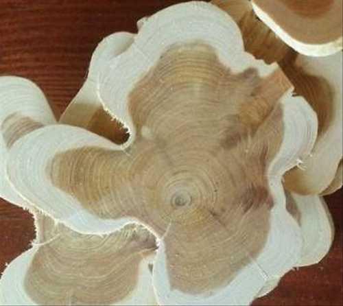 Спилы можжевельника