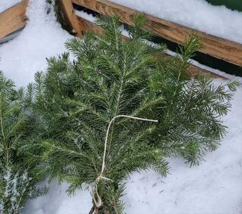 Лапник пихты сибирской 1 букет