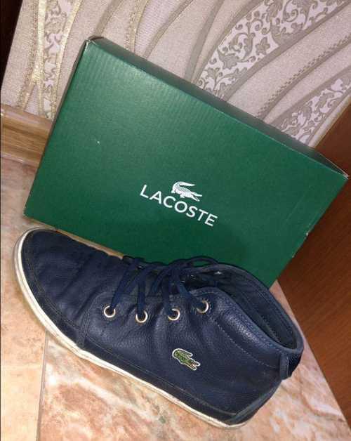 Продам кеды Lacoste 37 р-р оригинал
