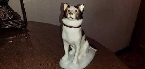 Статуэтка Лайка Папанина лфз редкая собака 1930 г