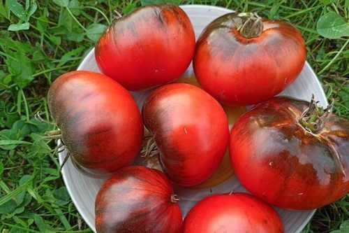 Семена сортовых коллекционных томатов (2 часть)