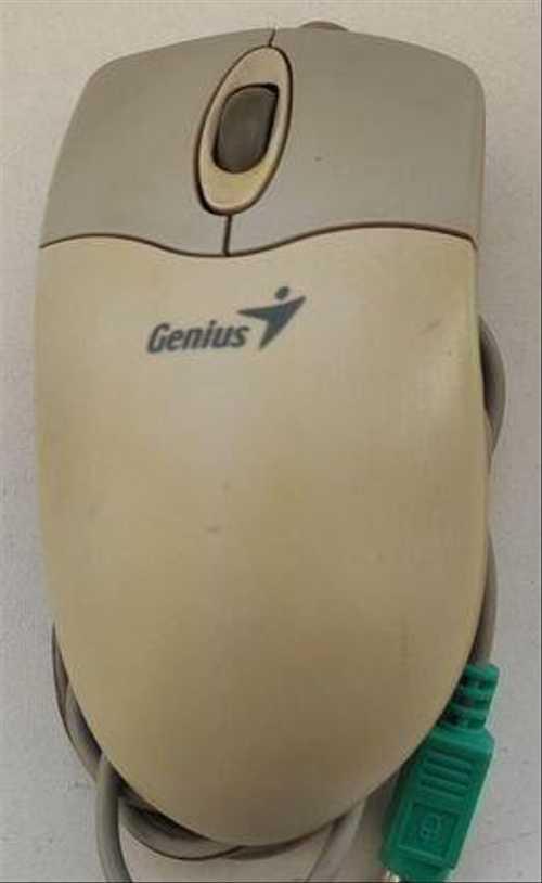 Мышь с шариком Genius NetScroll+