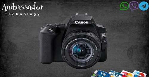 Canon EOS 250D EF-S 18-55 IS STM Kit