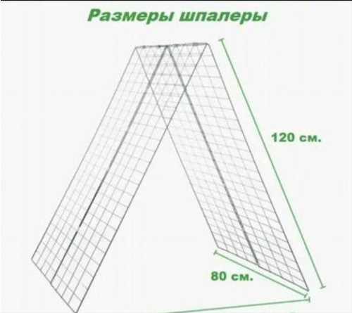 Шпалера для огурцов и гороха